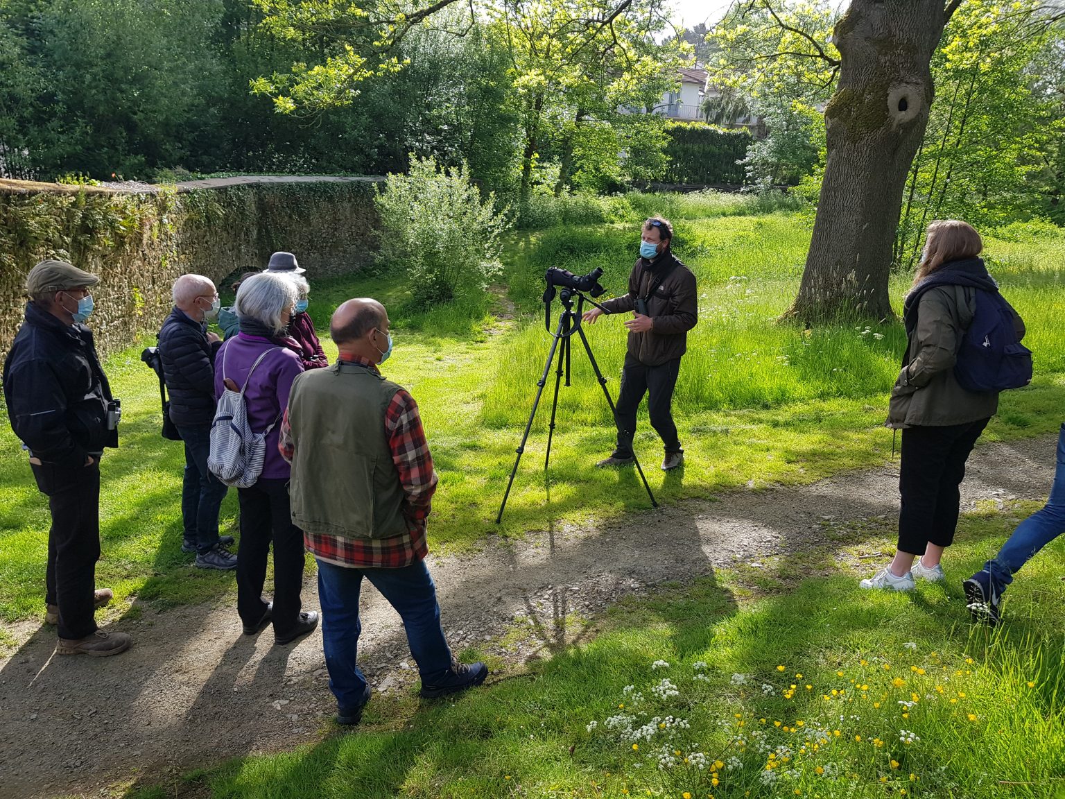 Biodiversité de Mauléon – Mairie de Mauléon