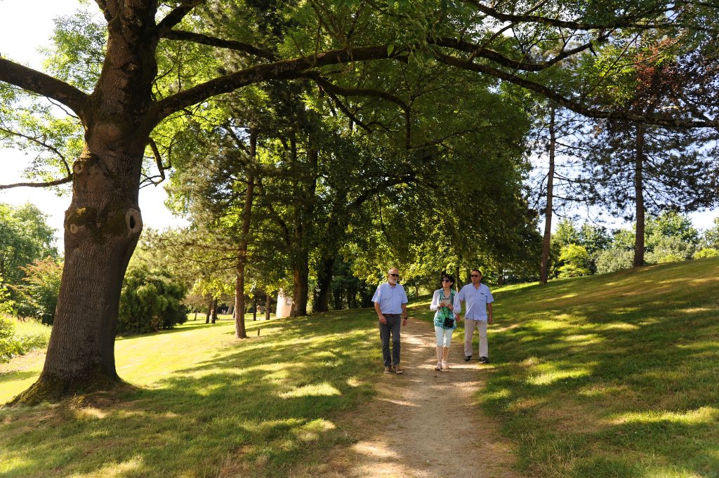 Espaces verts : gestion différenciée des espaces verts – Mairie de Mauléon